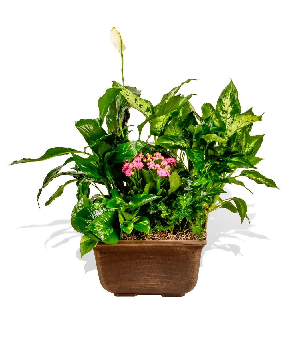 Blooming European Garden Basket in Baton Rouge, LA