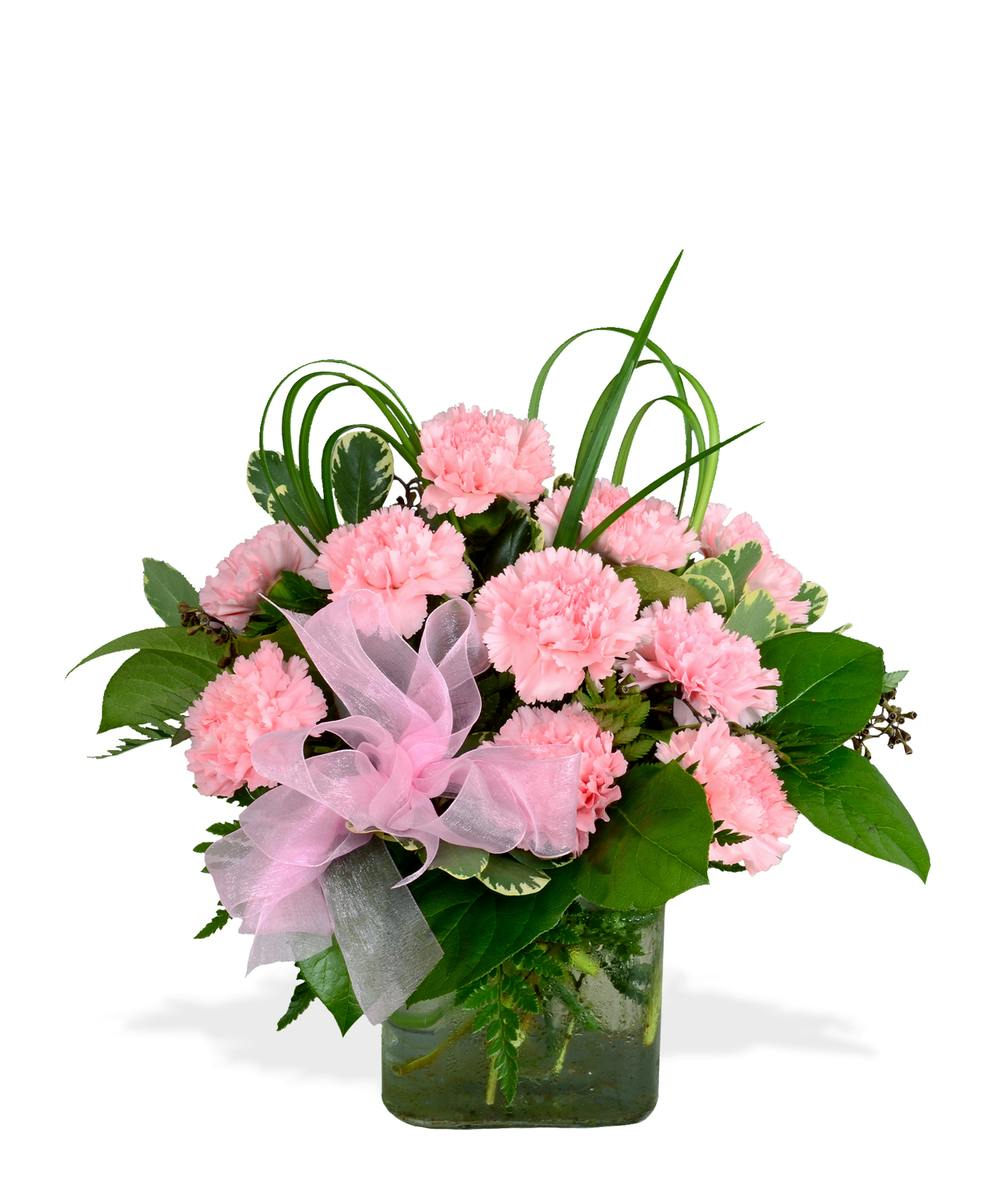 Phi Mu Pink Carnation Cube Arrangement for Rush week delivered in Baton ...