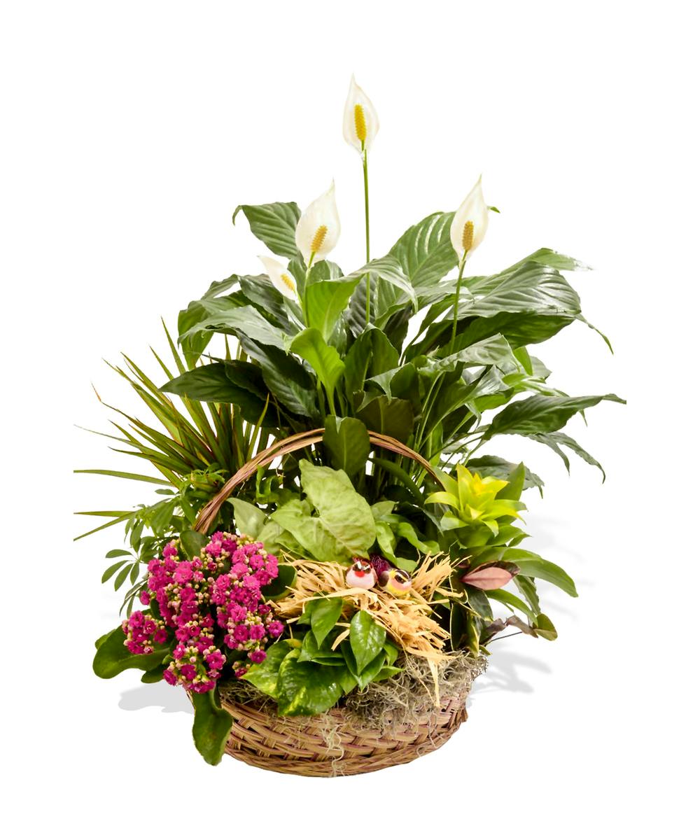 Blooming European Garden Basket in Baton Rouge, LA